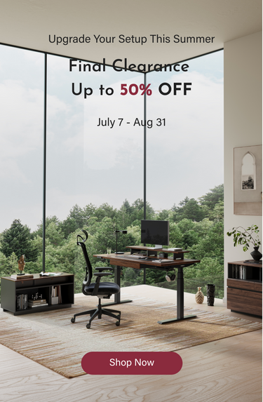 Vernal Best Sit Stand Desk Stand up Desks Home Office - Vernal